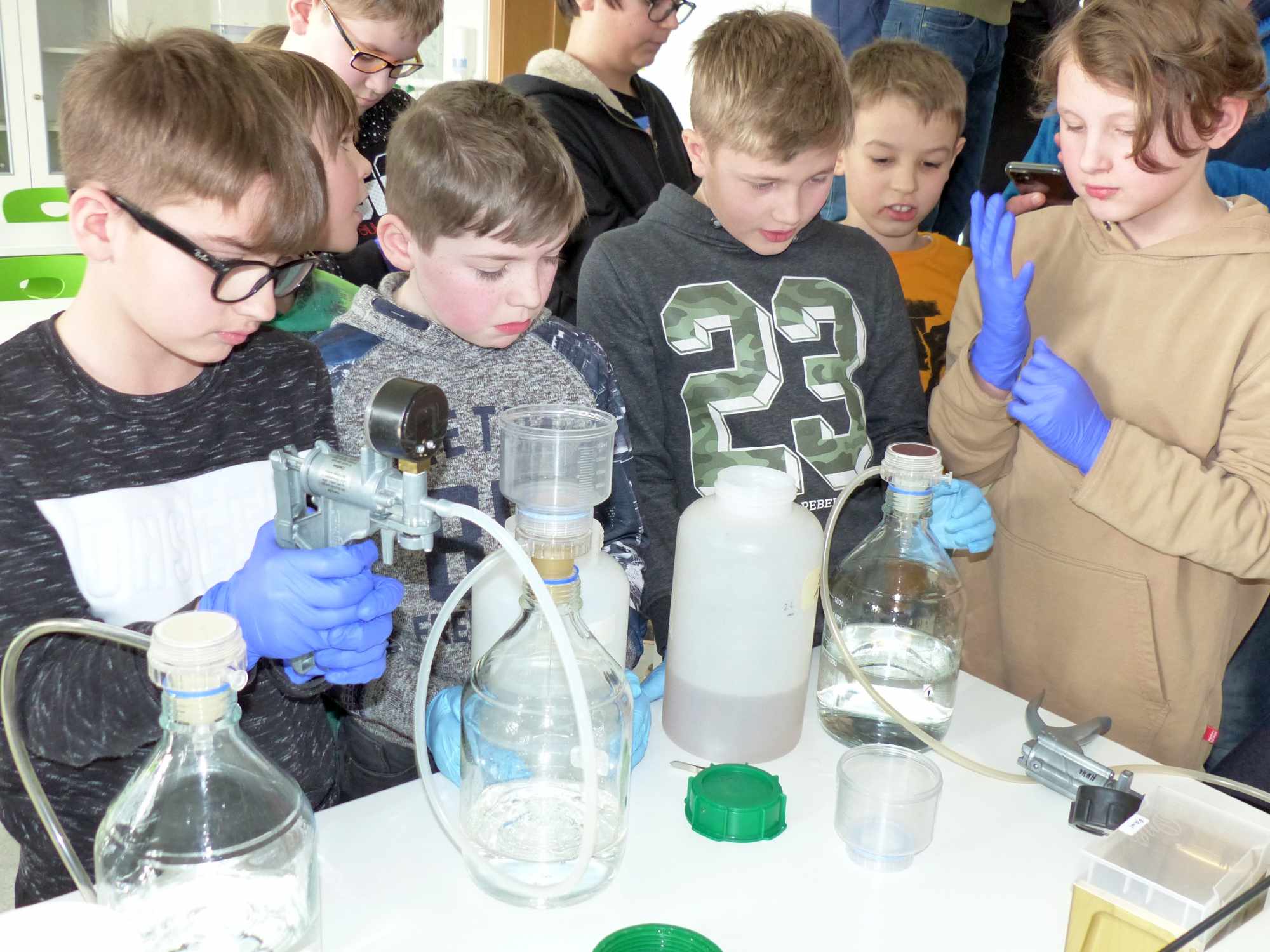 Kleine Fische ganz groß - Biodiversität der Elritzen Österreichs ...