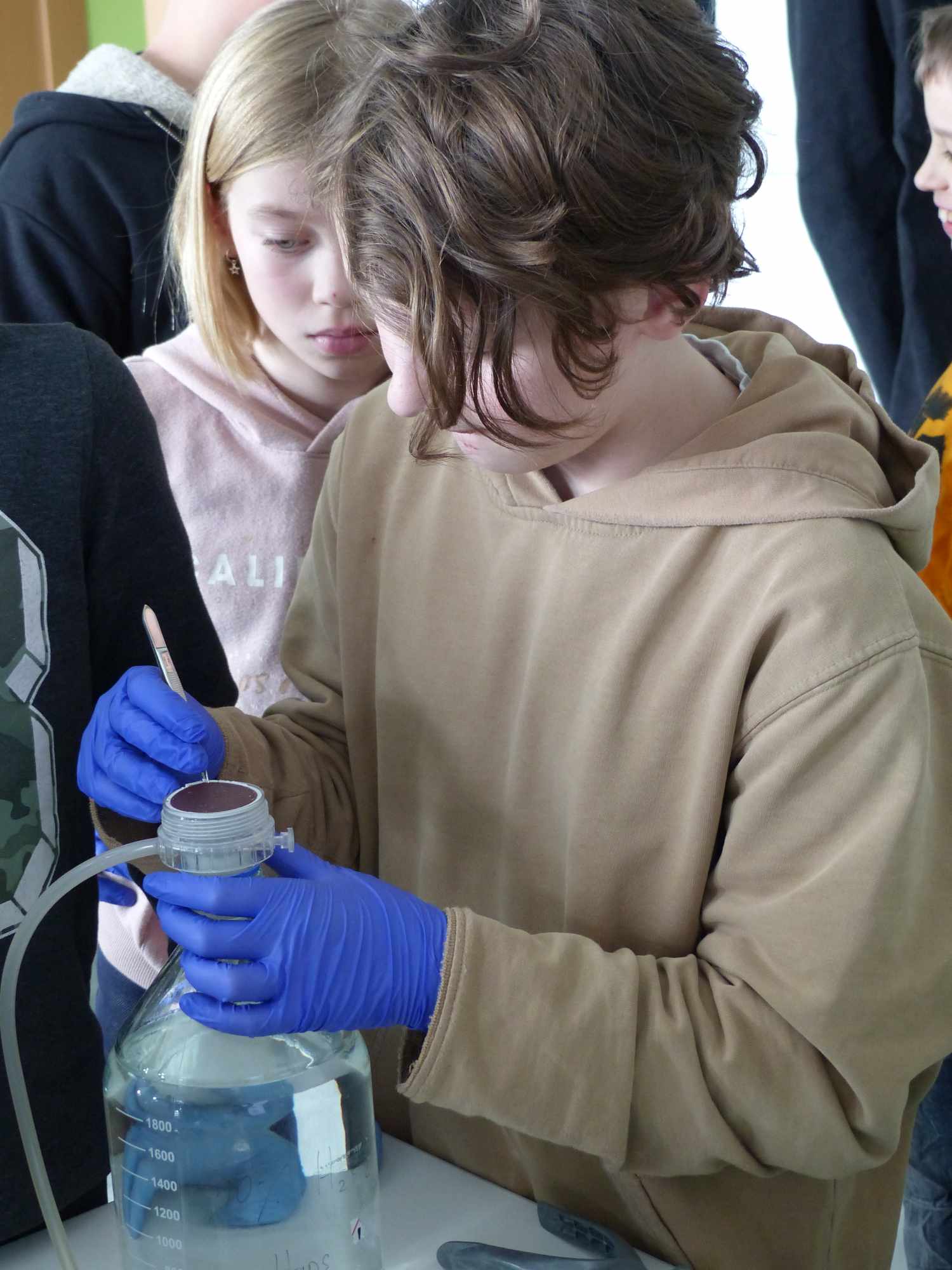 Kleine Fische ganz groß - Biodiversität der Elritzen Österreichs ...