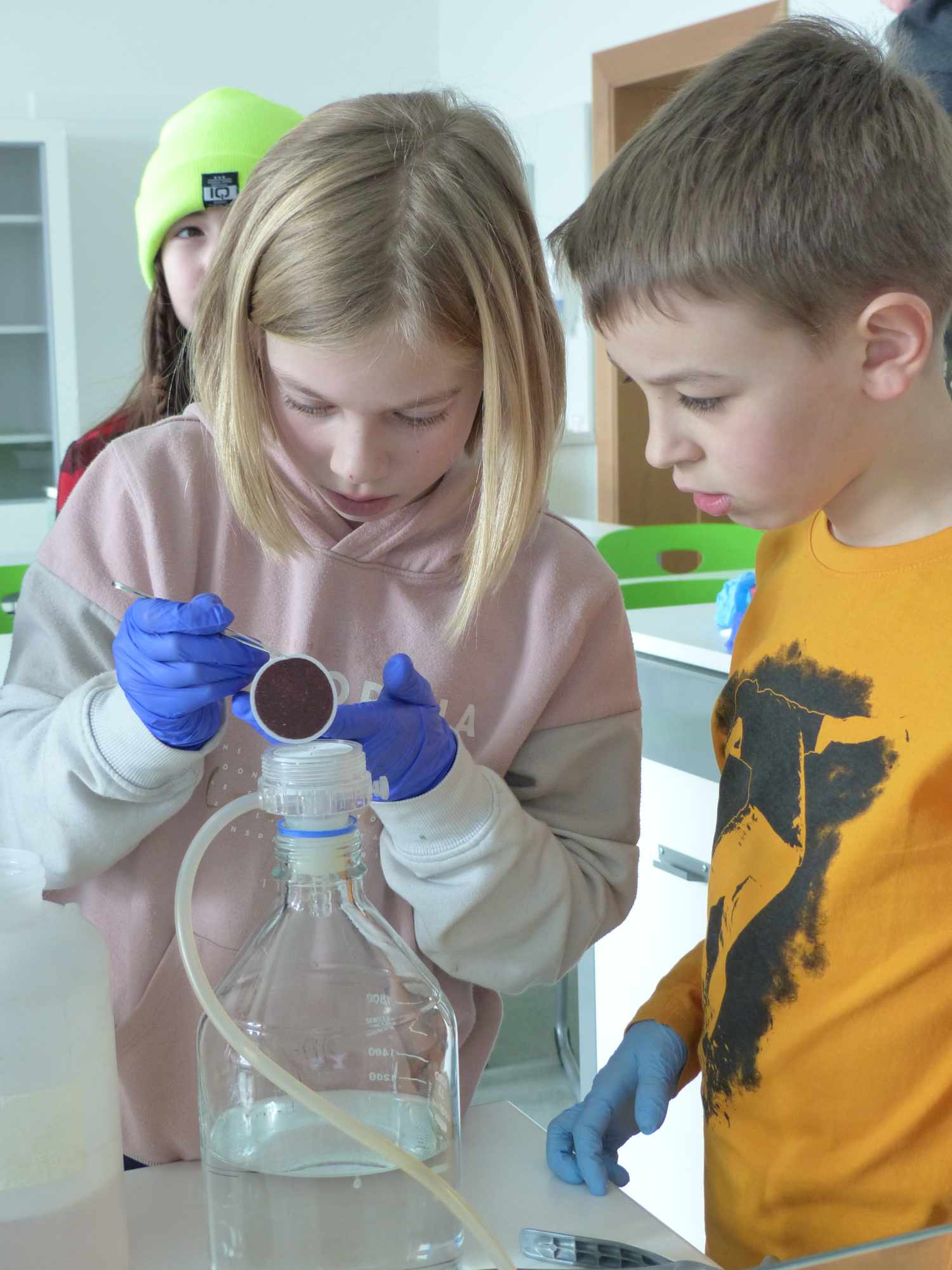 Kleine Fische ganz groß - Biodiversität der Elritzen Österreichs ...